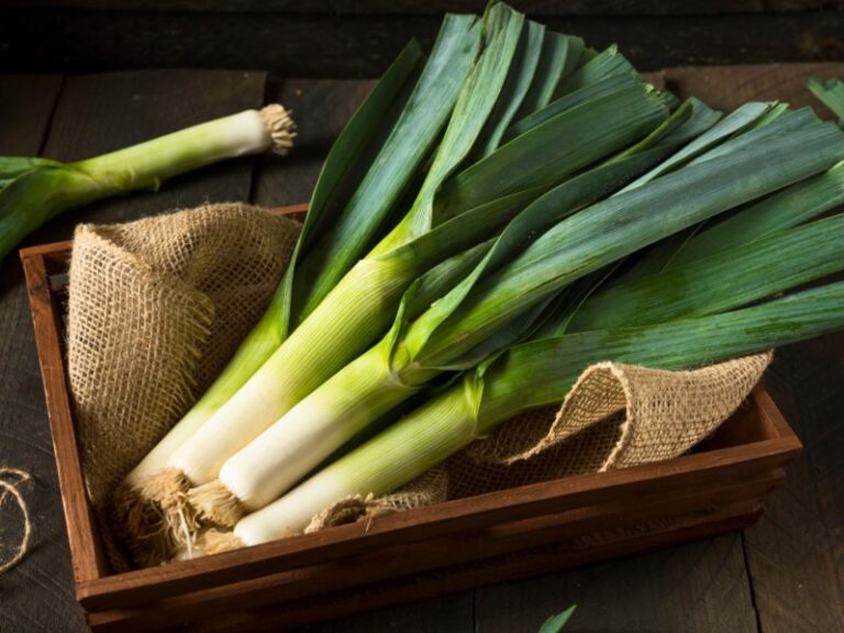 Grandma's meaty cheese and leek soup » Easy German Food